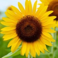 Higher Than Me – What It Means To Be Strong